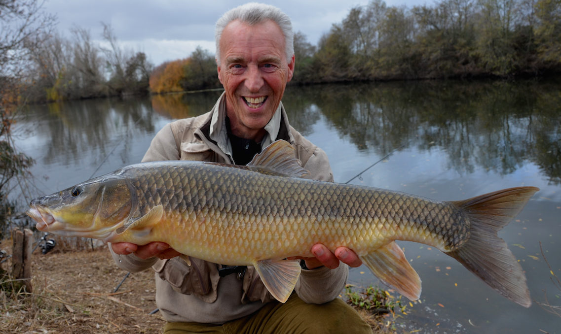 Barbel and Baubles | fishydreams