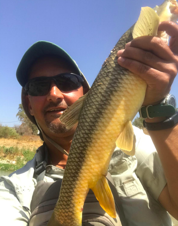 An afternoon with Johan Terblanche | fishydreams